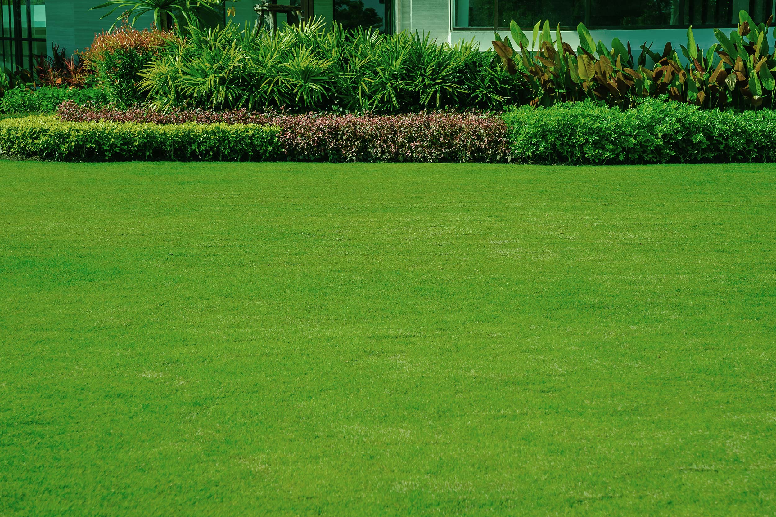 Lawn Mowing Quote Template Quotient